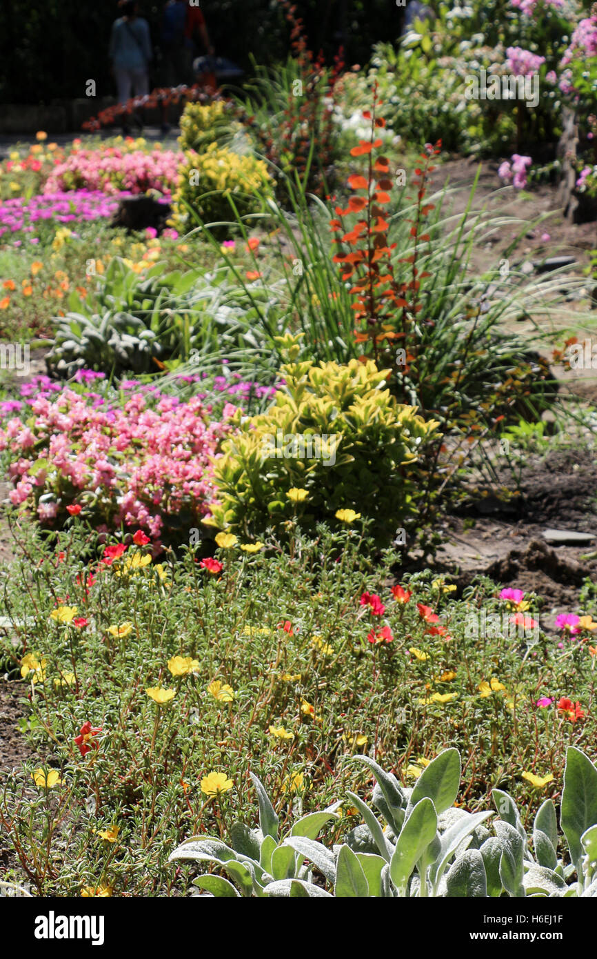Beautiful colorful flower garden with various flowers Stock Photo - Alamy