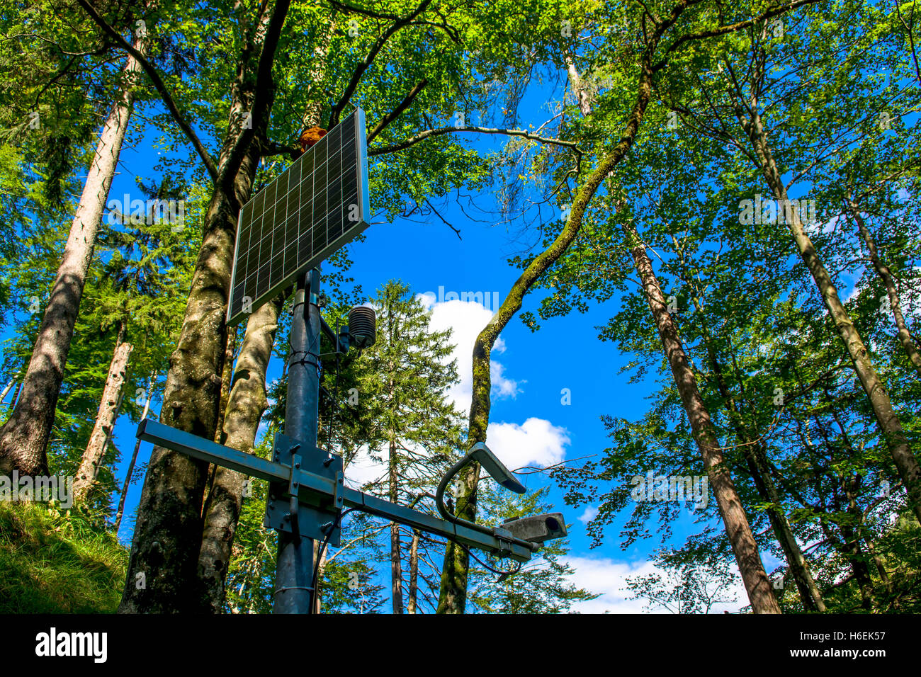 Solar Panel in Forest Stock Photo - Alamy