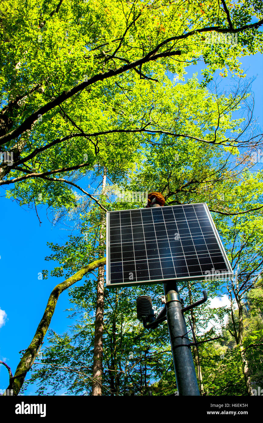 Sunlit Solar Panel in the Forest Stock Photo - Alamy