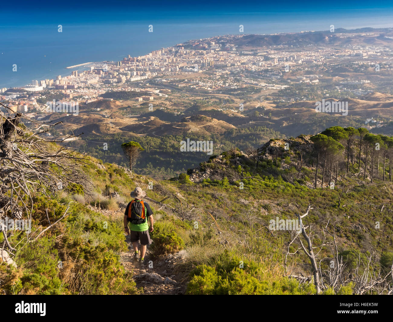 Hiker, Sierra Mijas mountain forest. Costa del Sol, Malaga province ...