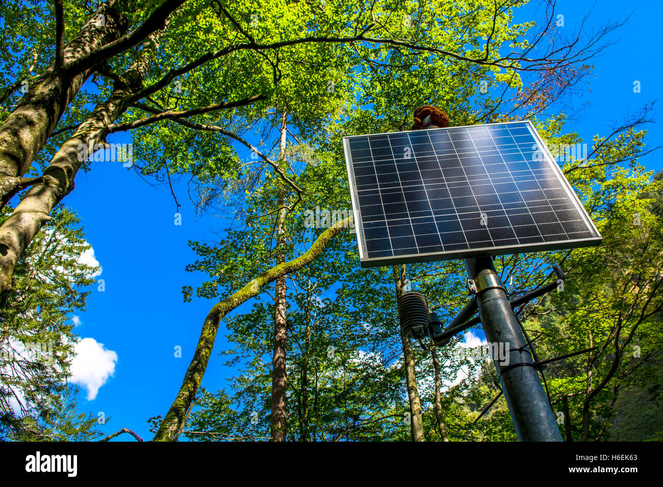 Sunlit Solar Panel in the Forest Stock Photo - Alamy