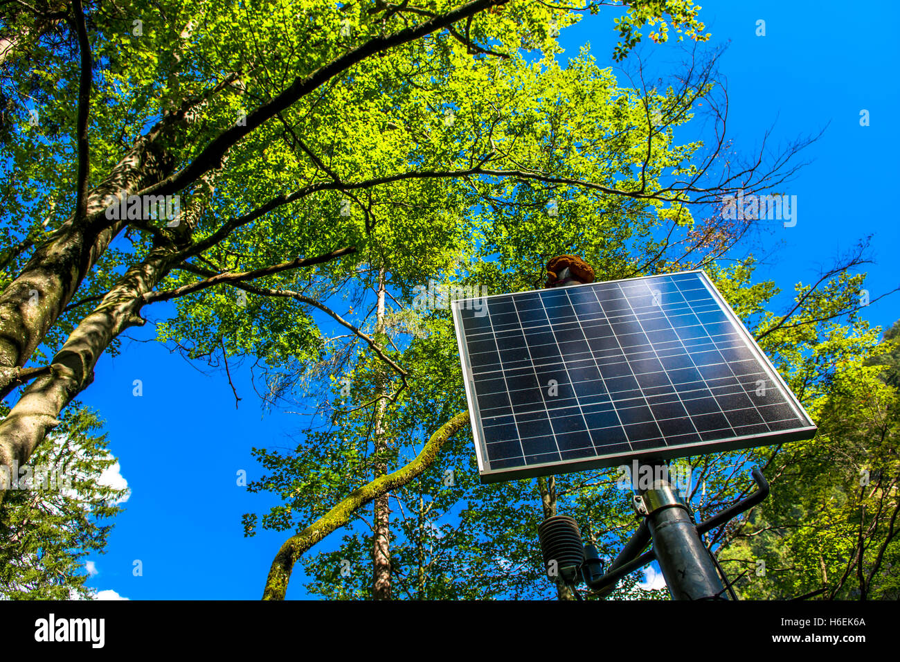 Sunlit Solar Panel in the Forest Stock Photo - Alamy