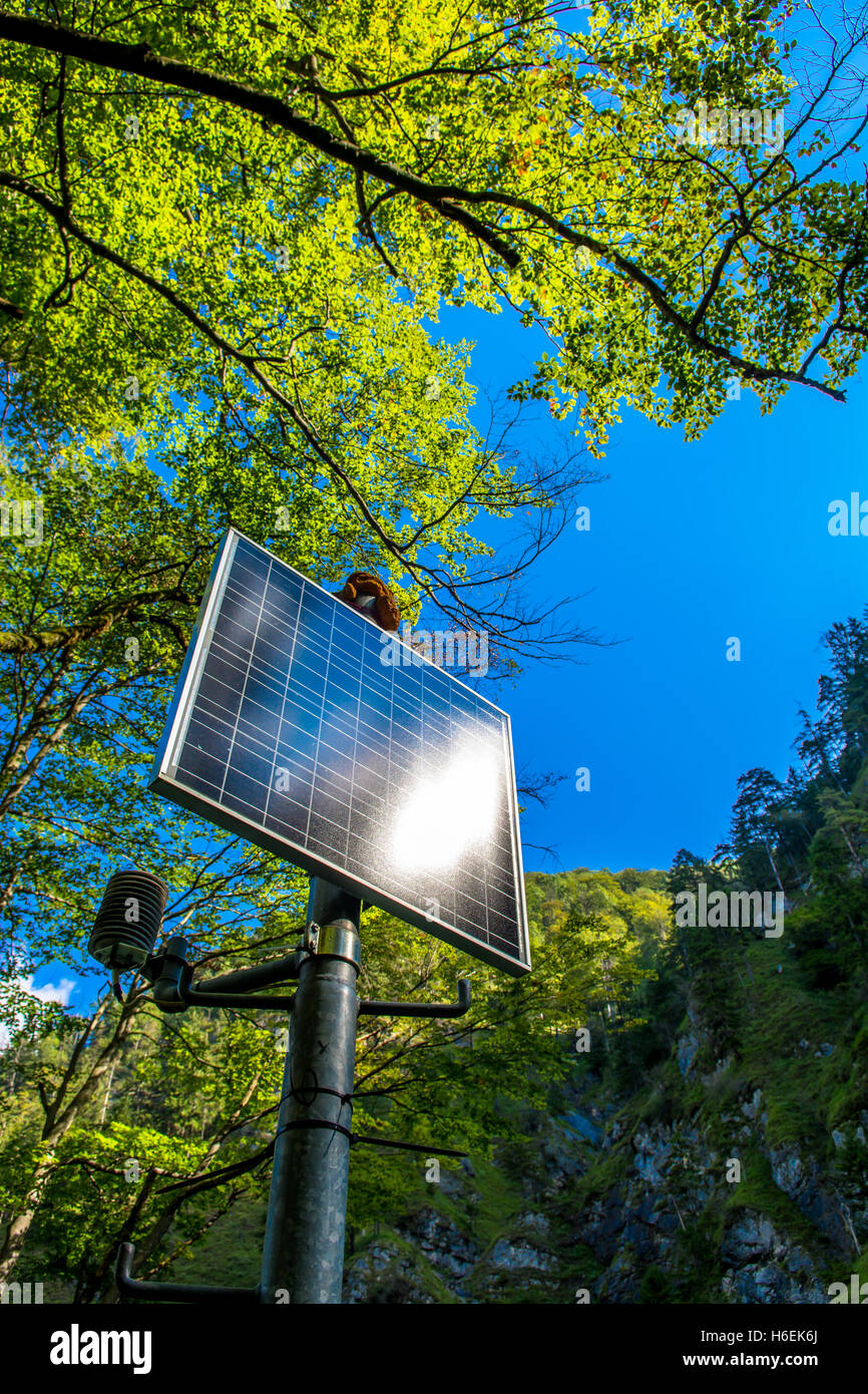 Sunlit Solar Panel in the Forest Stock Photo - Alamy