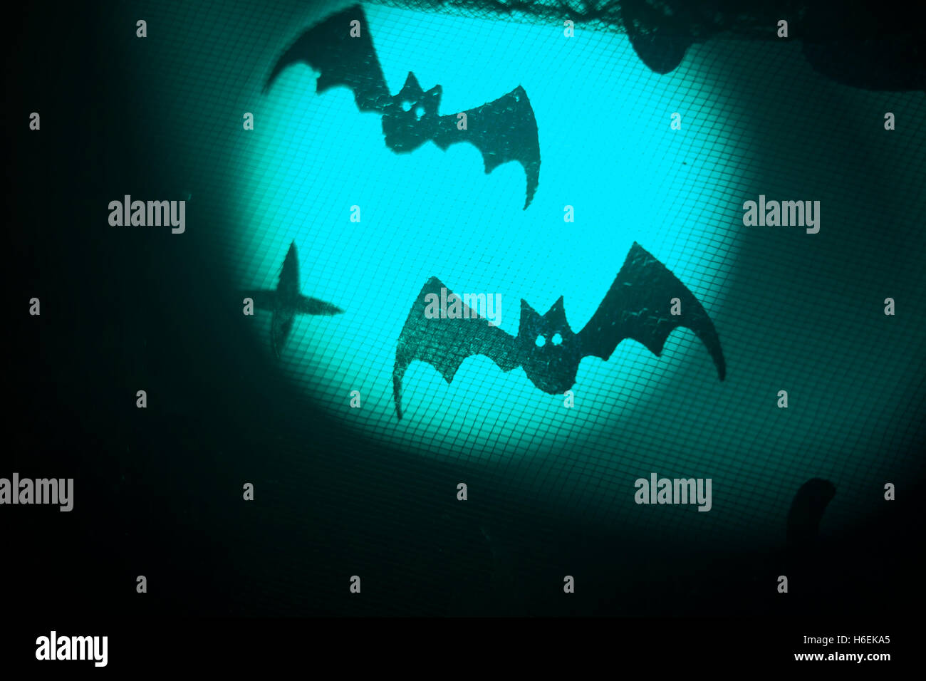 Halloween bat bay hi-res stock photography and images - Alamy