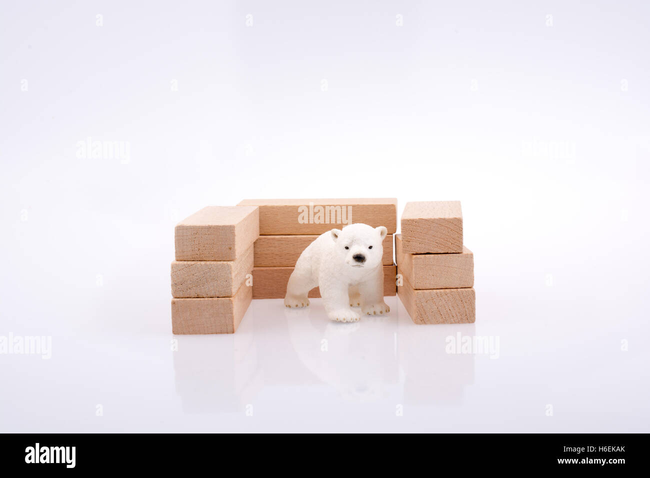 Polar bear and the bullding blocks on white bakcground Stock Photo - Alamy