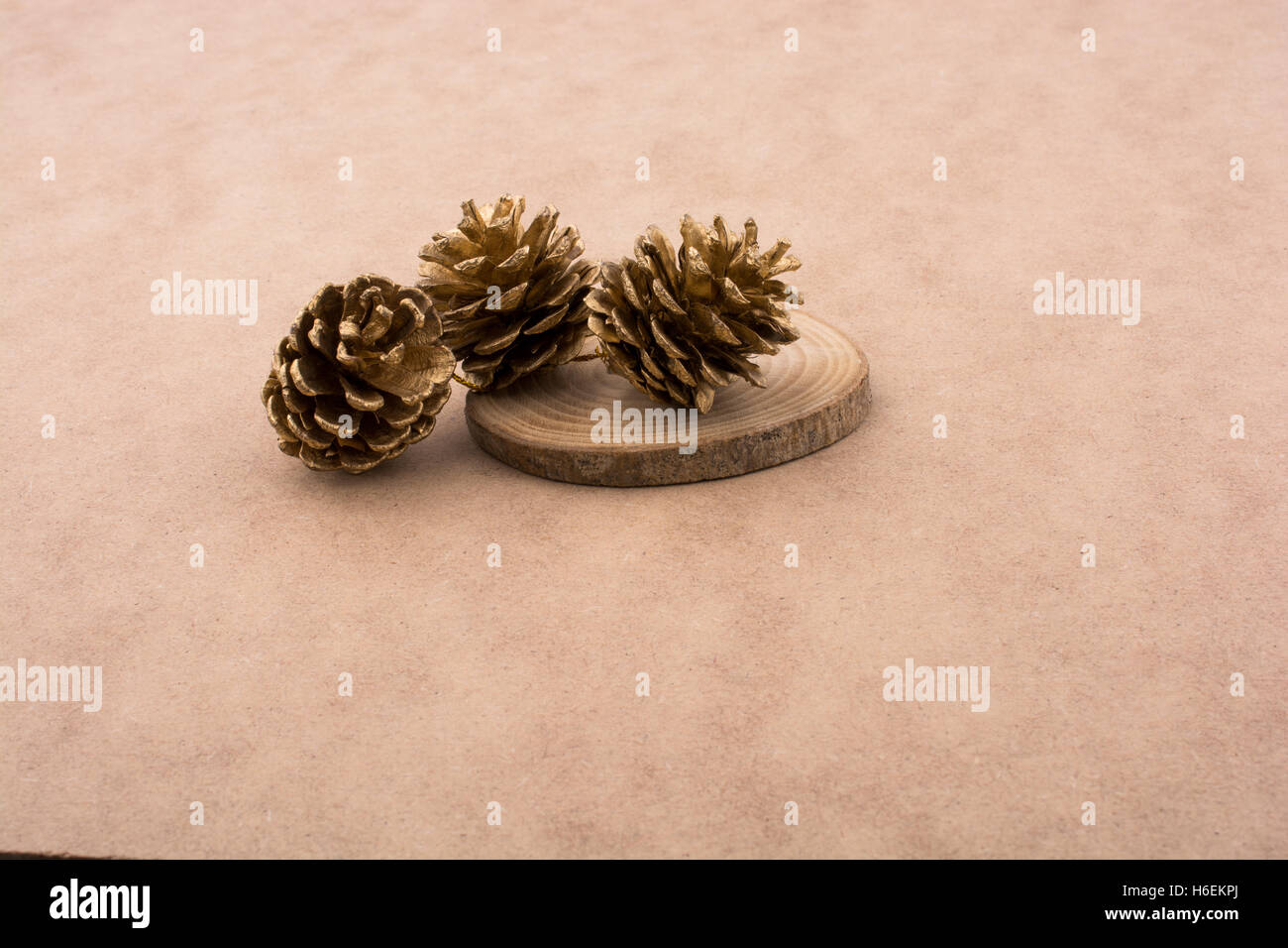 Pine cones on a piece of cut wood on a light brown background Stock Photo - Alamy