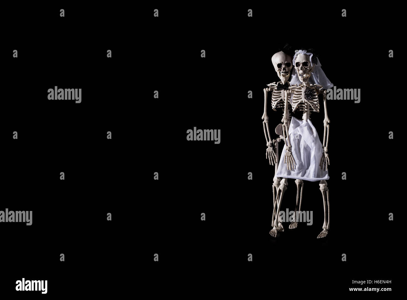 Skeleton bride and groom on a black background with negative space ...