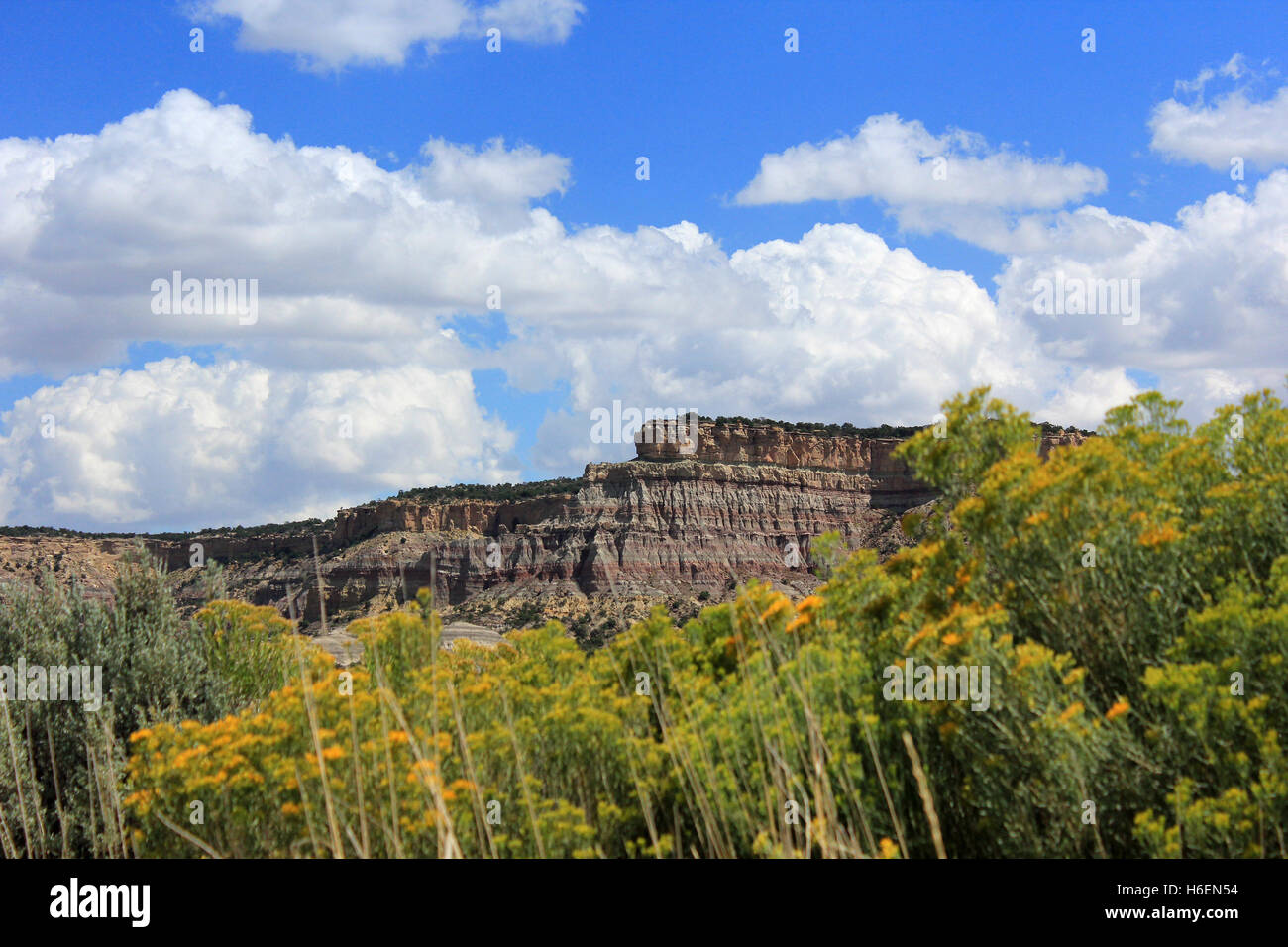 Colorado mountain hi-res stock photography and images - Alamy
