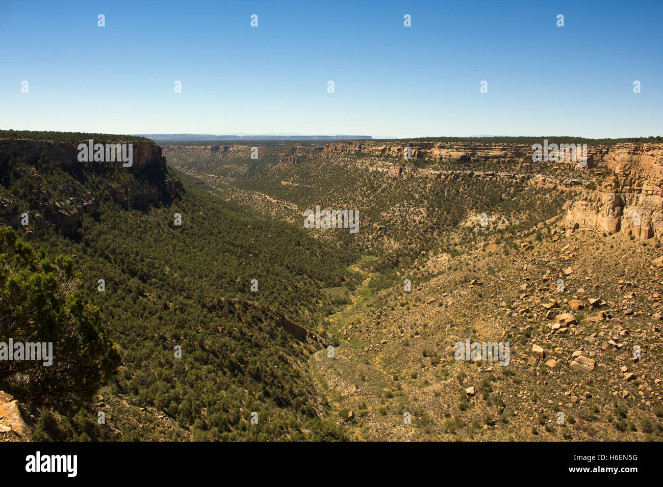 Colorado Canyon Colorado mountain Stock Photo - Alamy