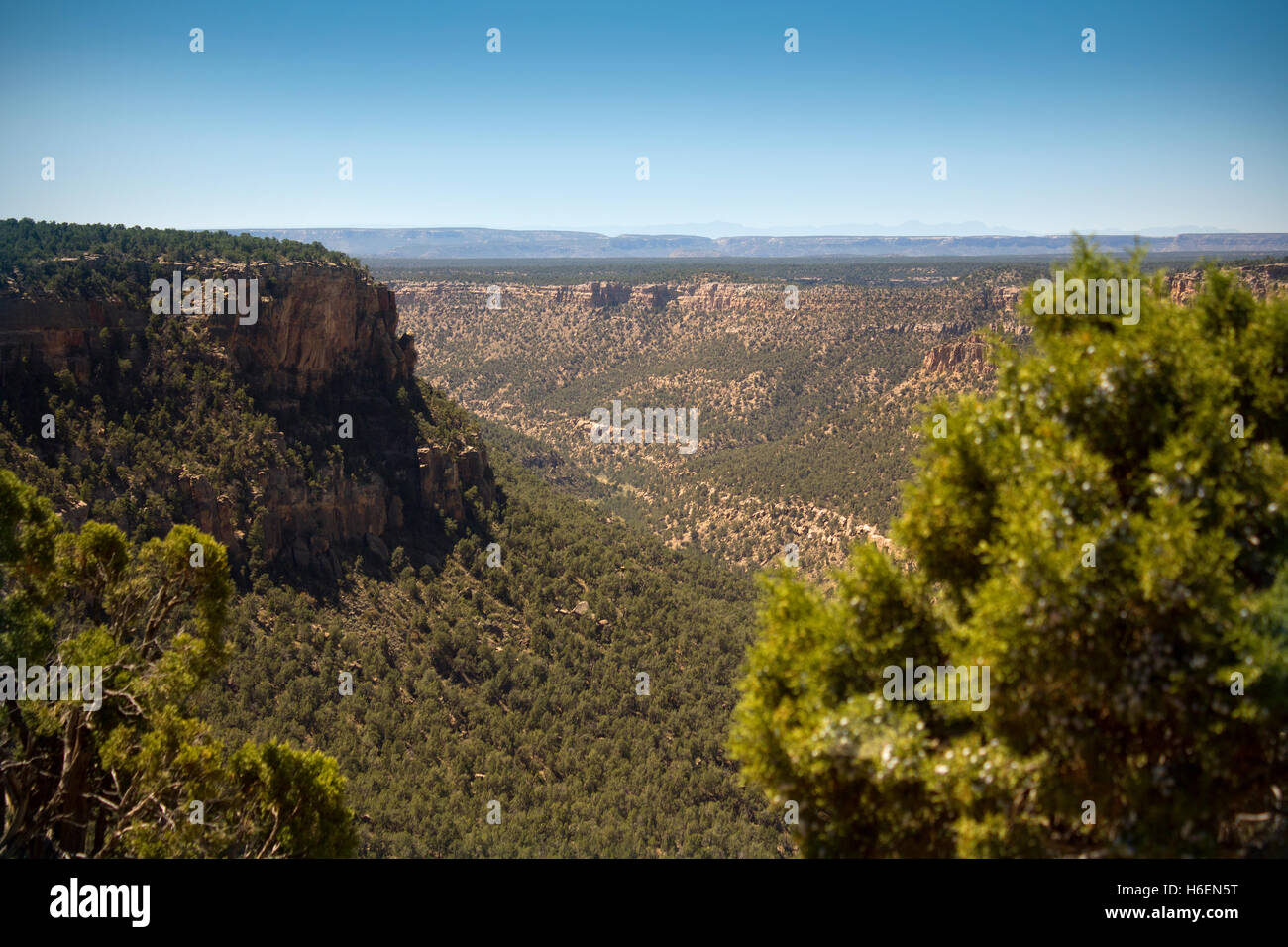 Colorado Canyon Colorado mountain Stock Photo - Alamy