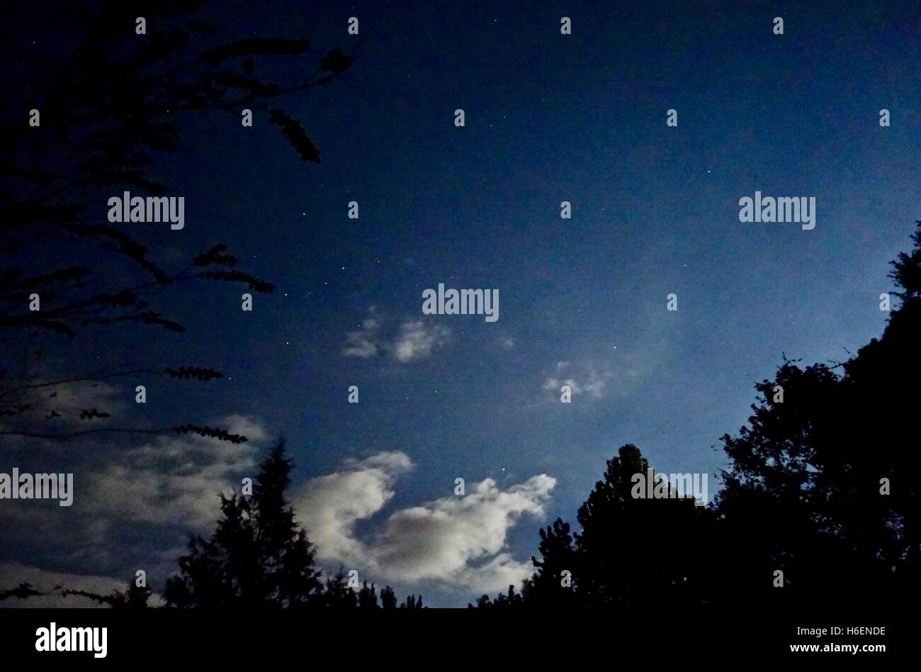 Looking up into the night sky on a cool evening Stock Photo - Alamy