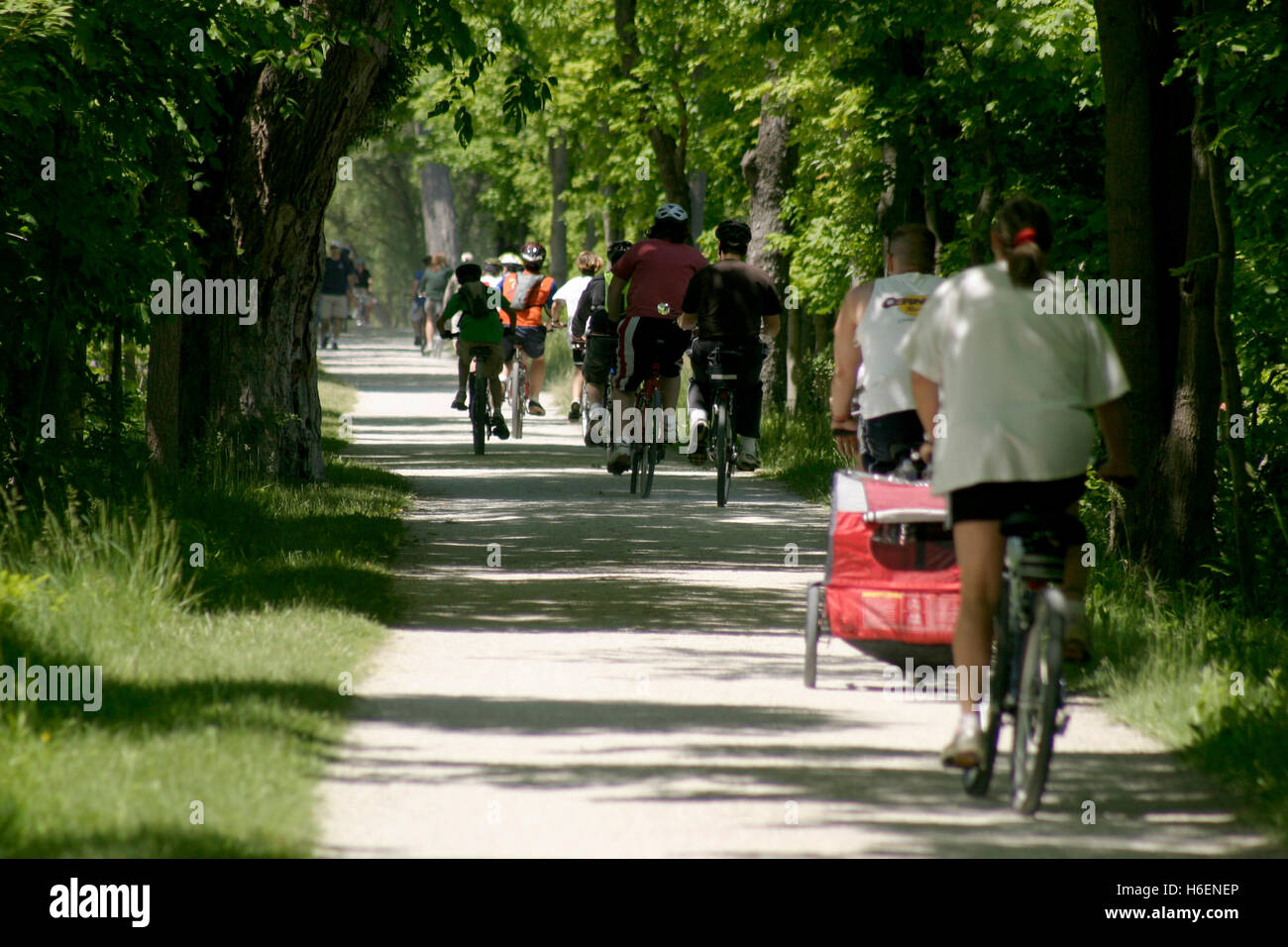 People riding bikes on park trail in summertime Stock Photo - Alamy