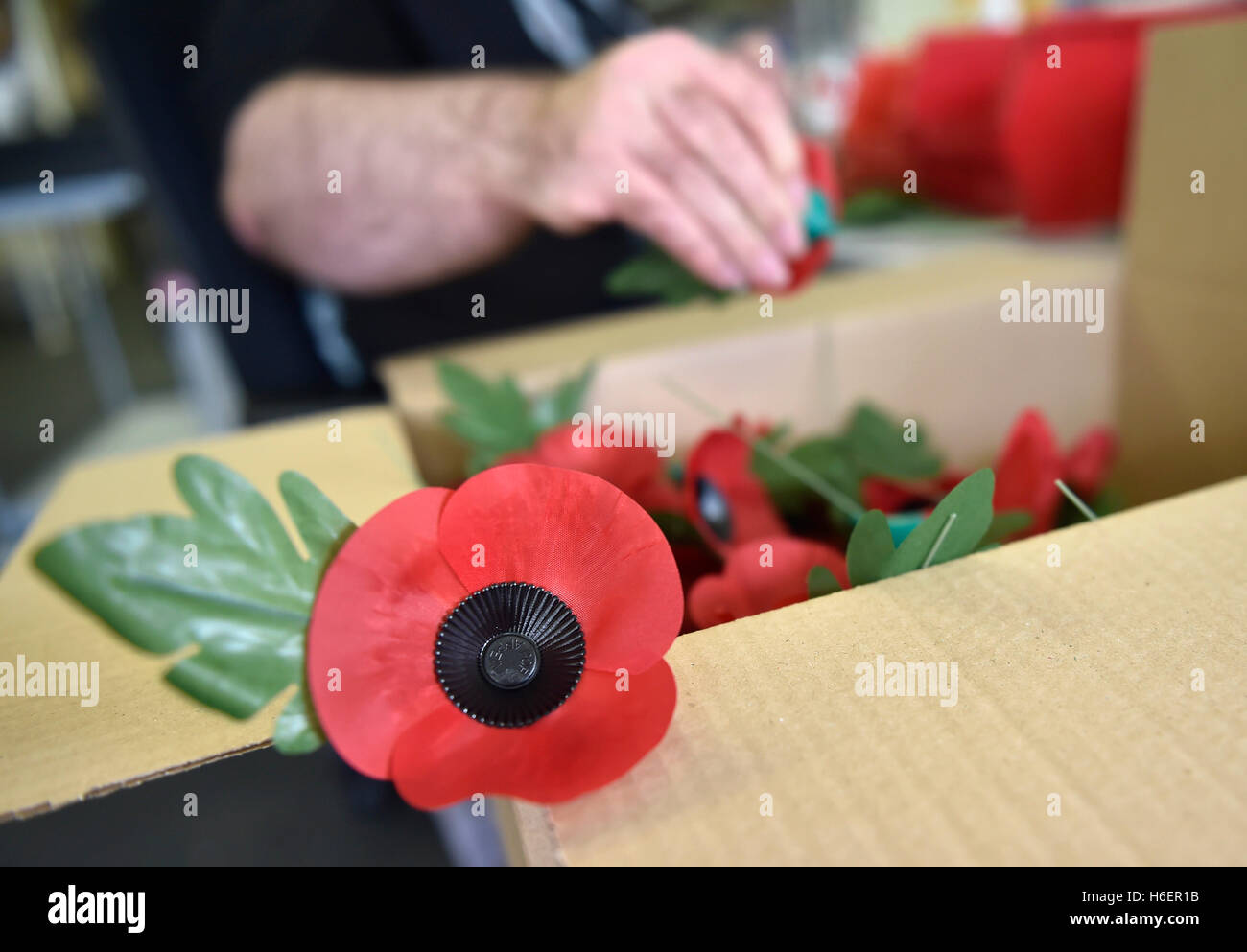 The Poppy Factory In Richmond High Resolution Stock Photography and ...