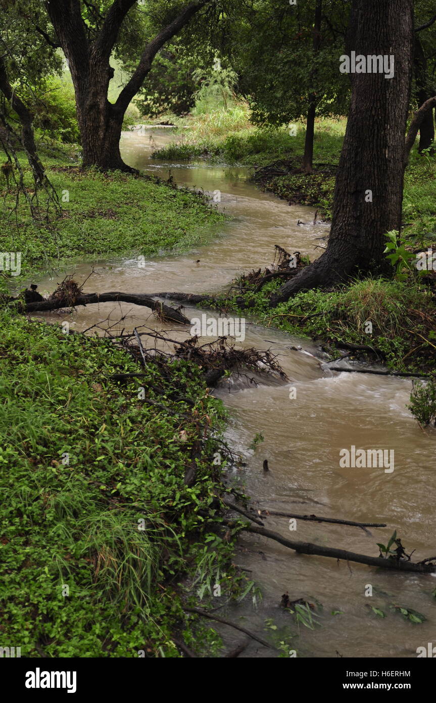 Shallow creek after a rain storm, vertical Stock Photo - Alamy