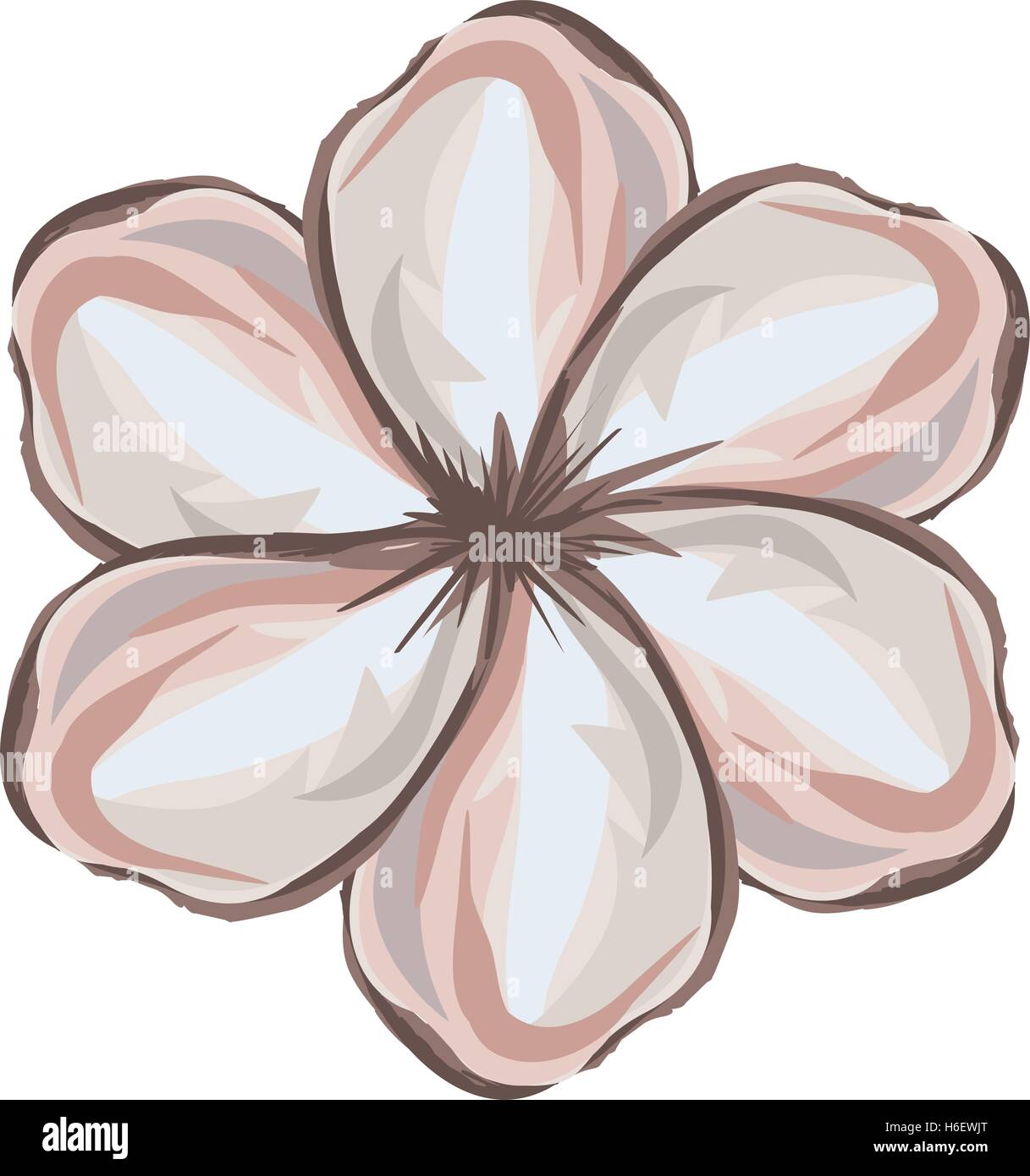 delicate flower drawing icon image vector illustration design Stock ...