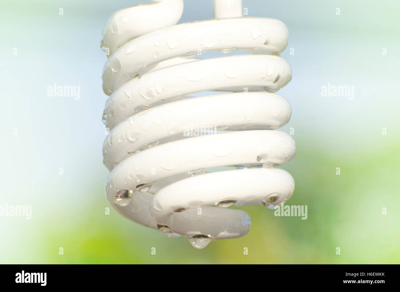 Wet bulb outdoors close-up Stock Photo - Alamy