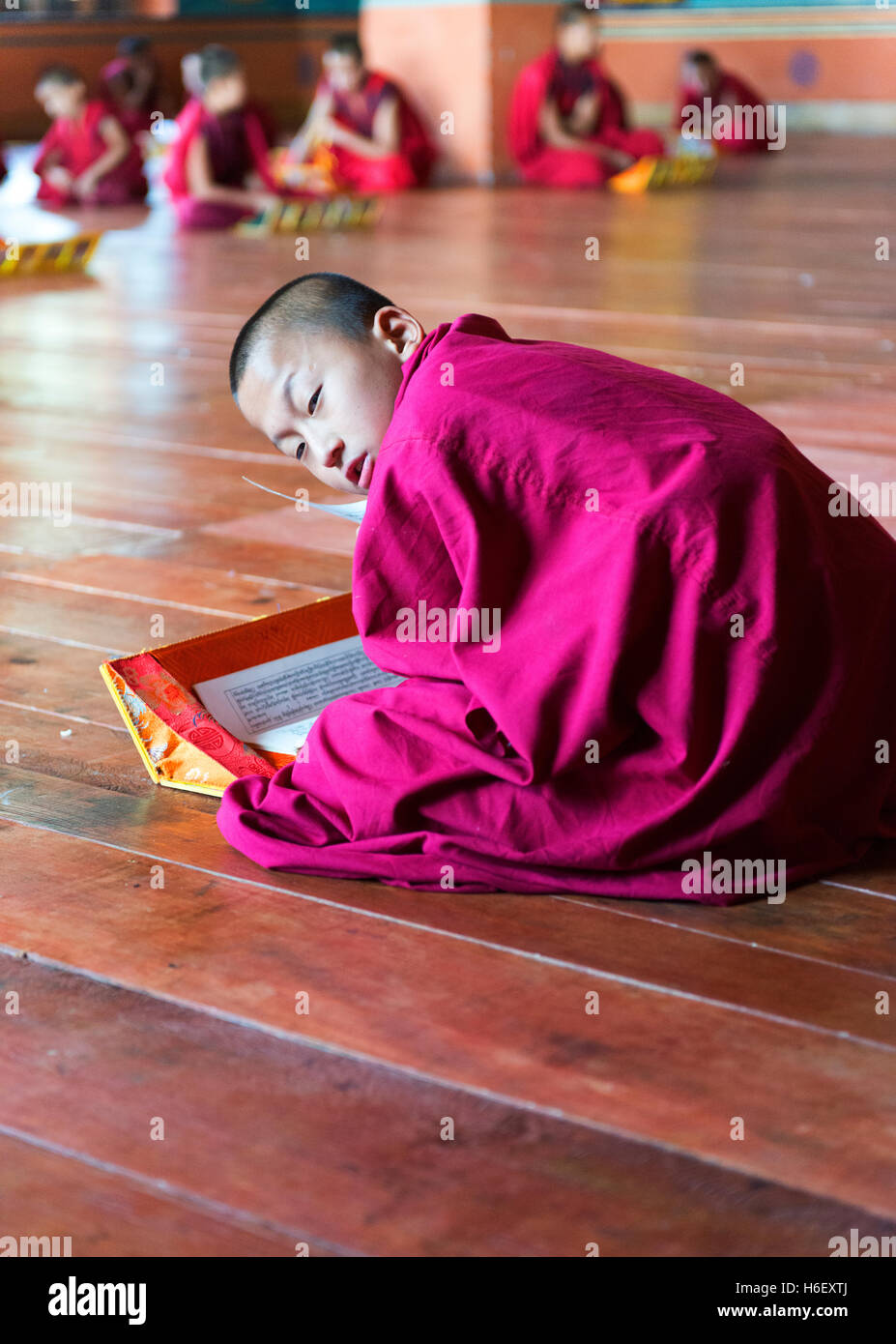 Novice and monk hi-res stock photography and images - Alamy