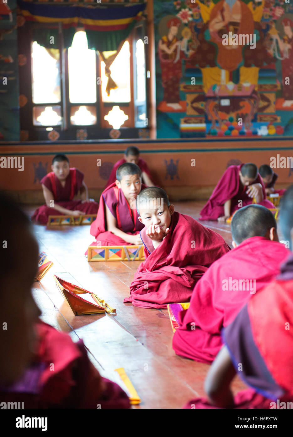 Young monk studying hi-res stock photography and images - Alamy