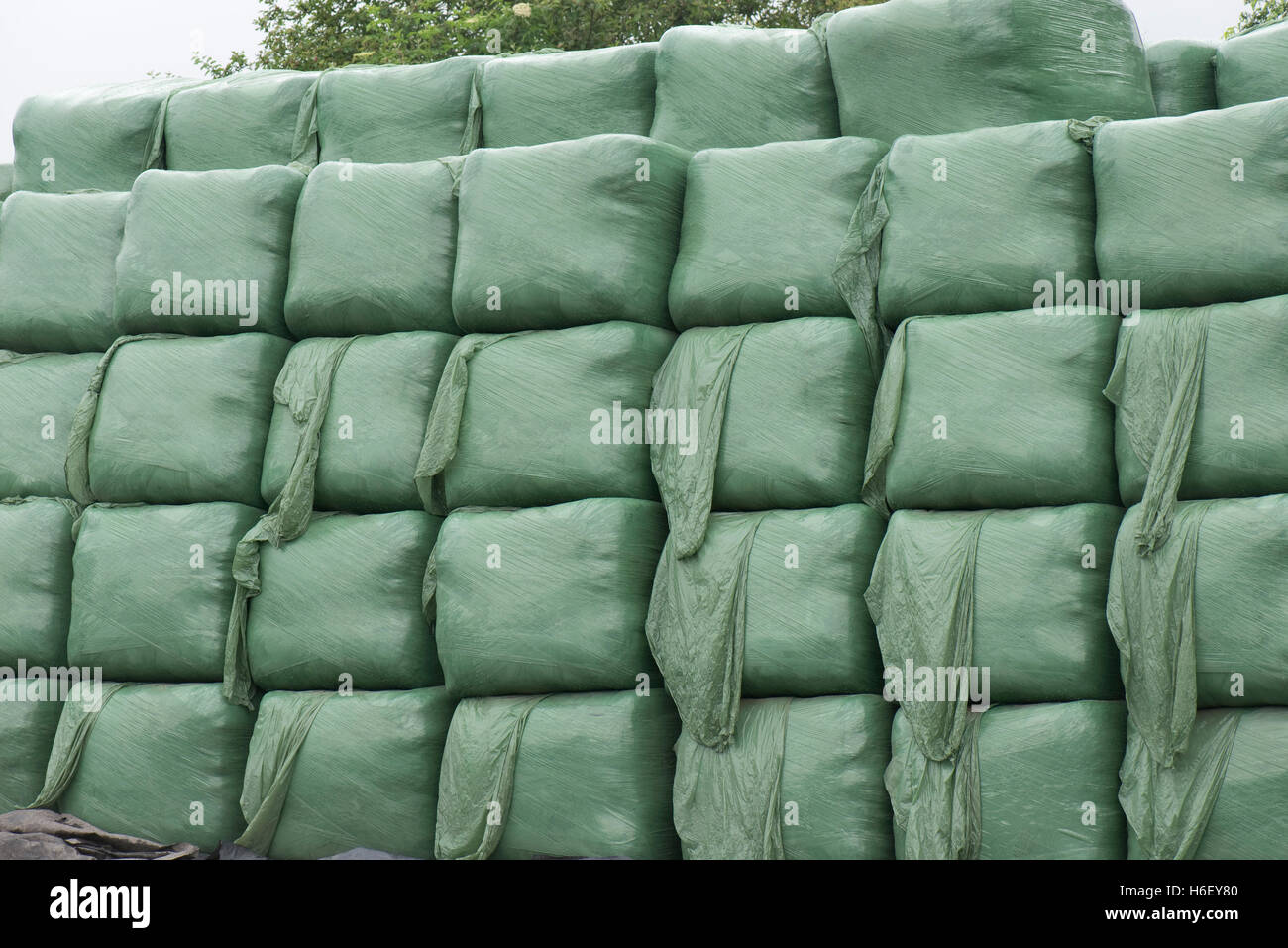 Plastic sheet hi-res stock photography and images - Alamy