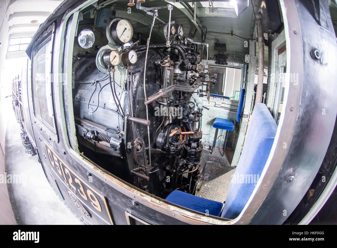 JNR Imperial Pacific C51.239 Locomotive designated for exclusive use by ...