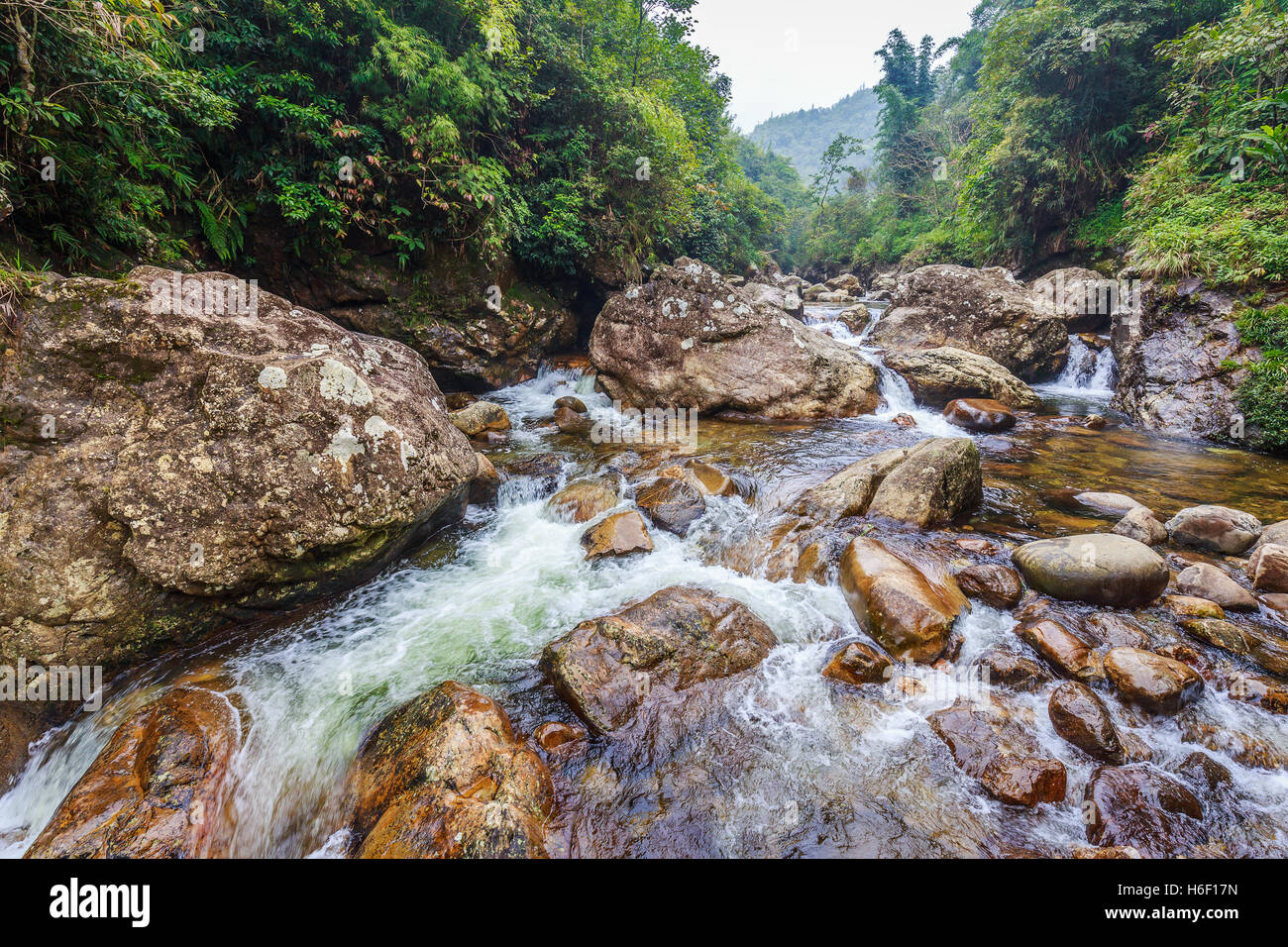 Flowing river through rock ravine in tropical forest of Cat Cat village ...
