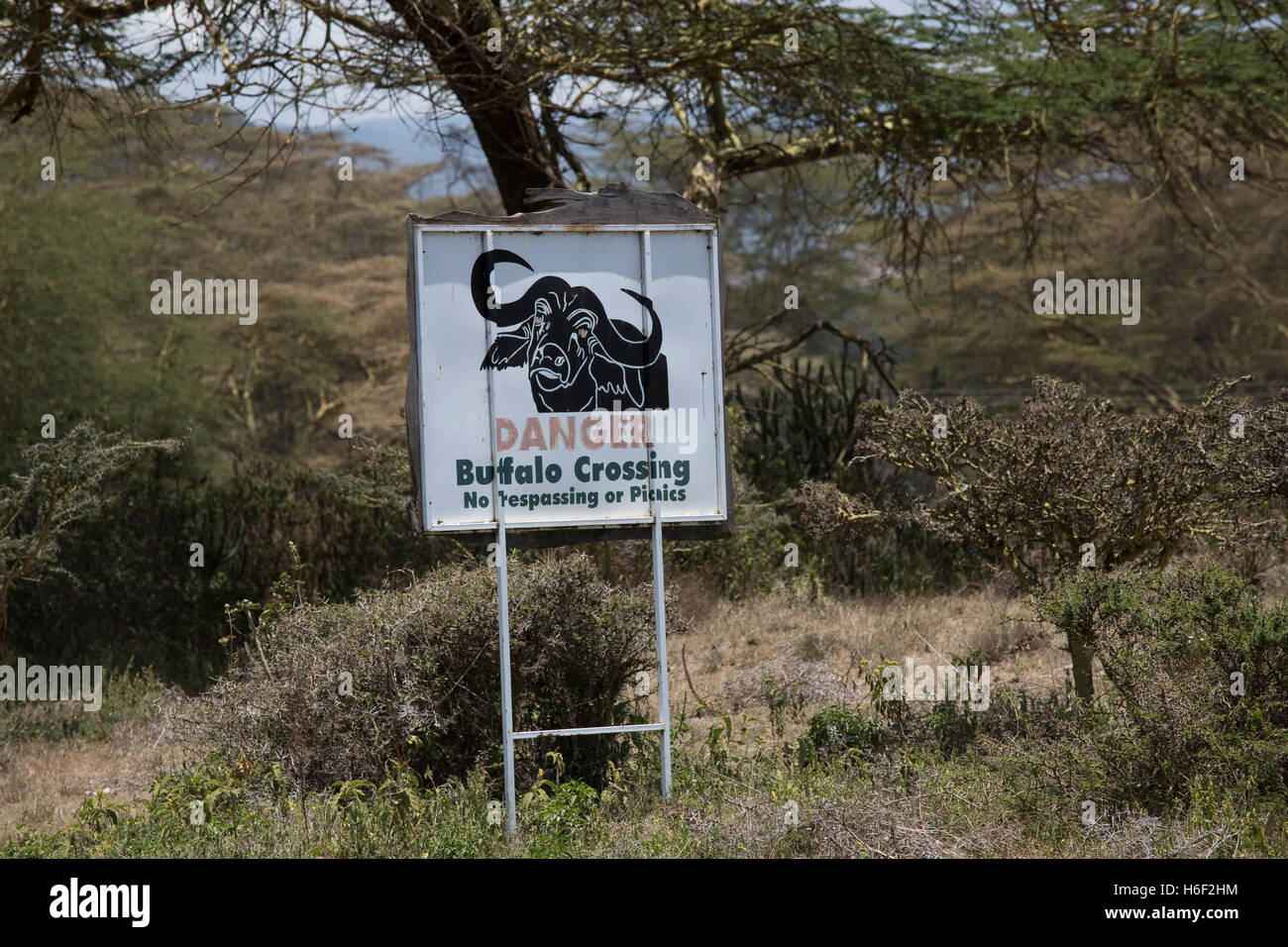 Buffalo warning sign hi-res stock photography and images - Alamy