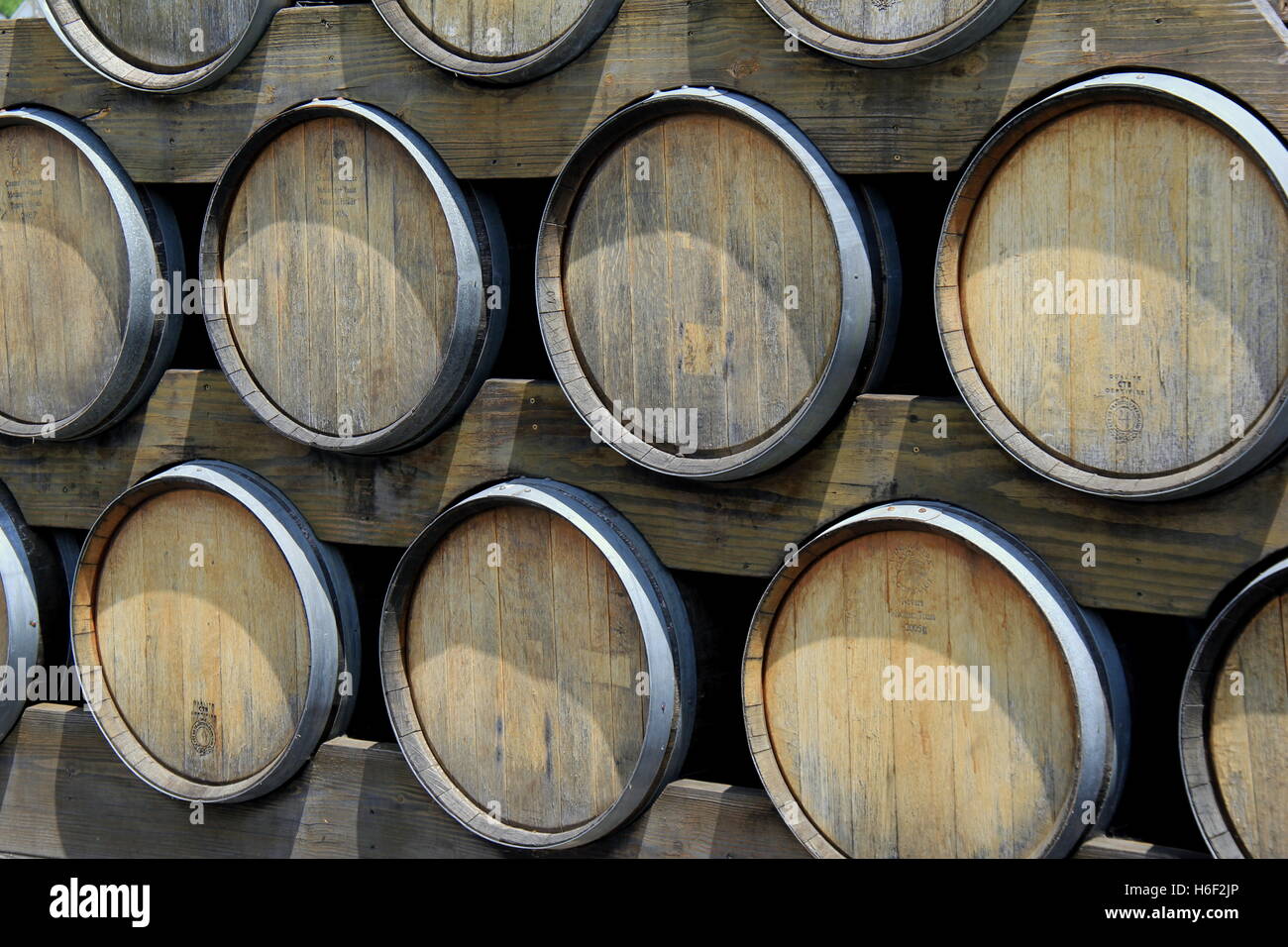Rows of several wine barrels set in wood display with cut-outs for each ...