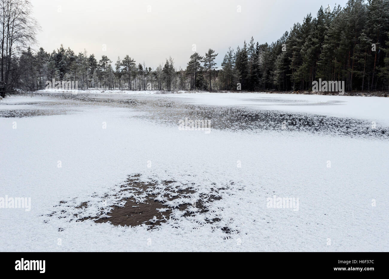 Newly frozen lake Stock Photo - Alamy