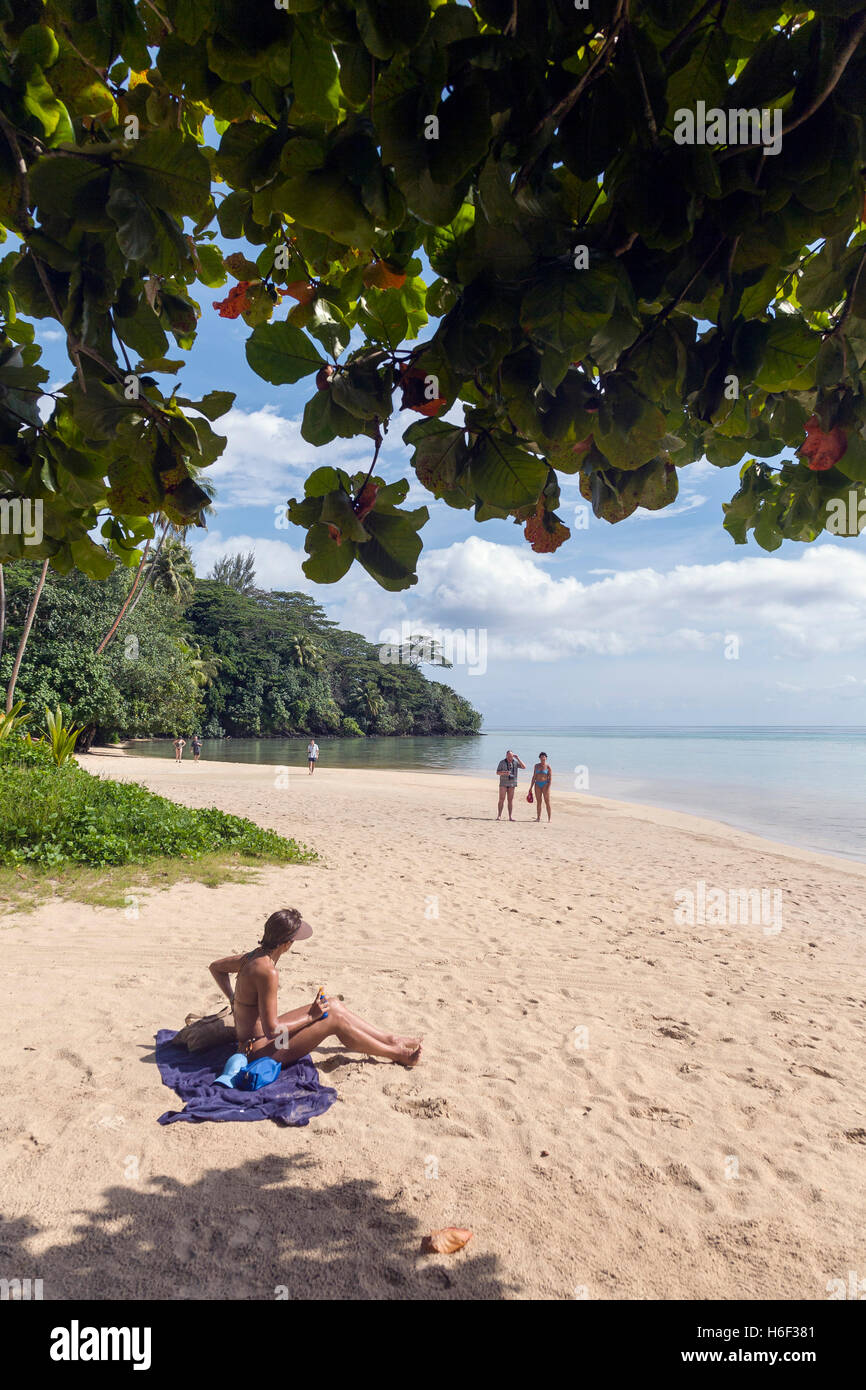 Woman on tropical beach, Polynesia Stock Photo - Alamy