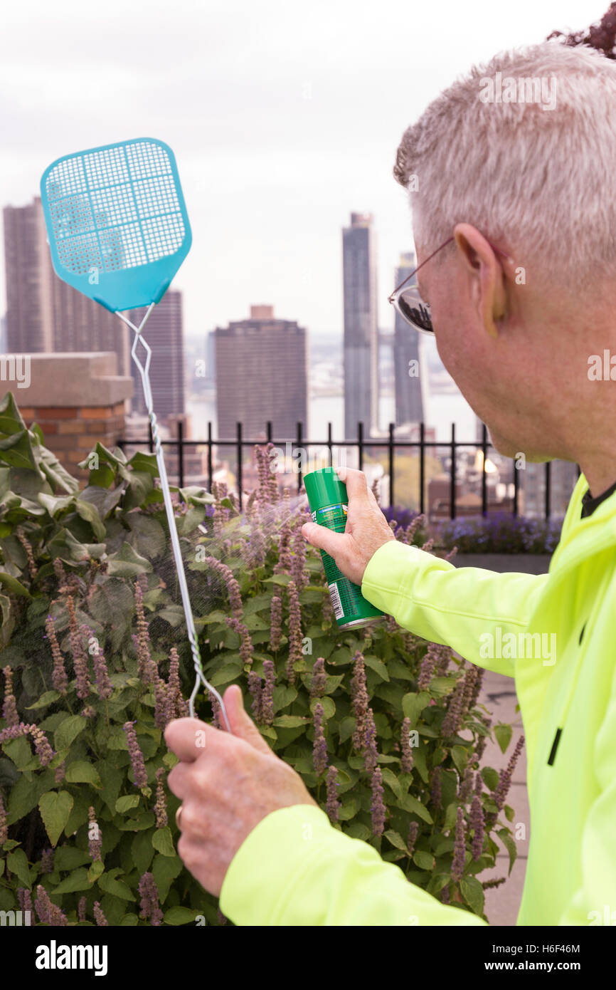 Mature Man Fighting Flying Insects, USA Stock Photo - Alamy