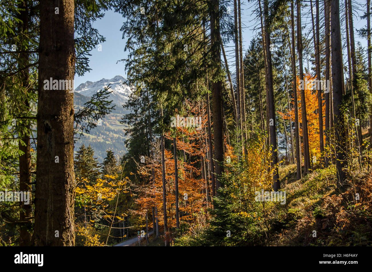 The Zillertal ("Ziller valley") a valley in Tyrol, Austria drained by ...