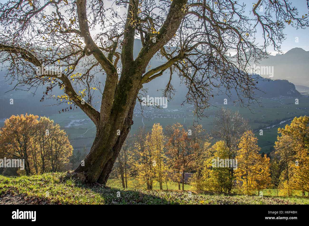 Zillertal Alpine Autumn From September to October, autumn gradually ...