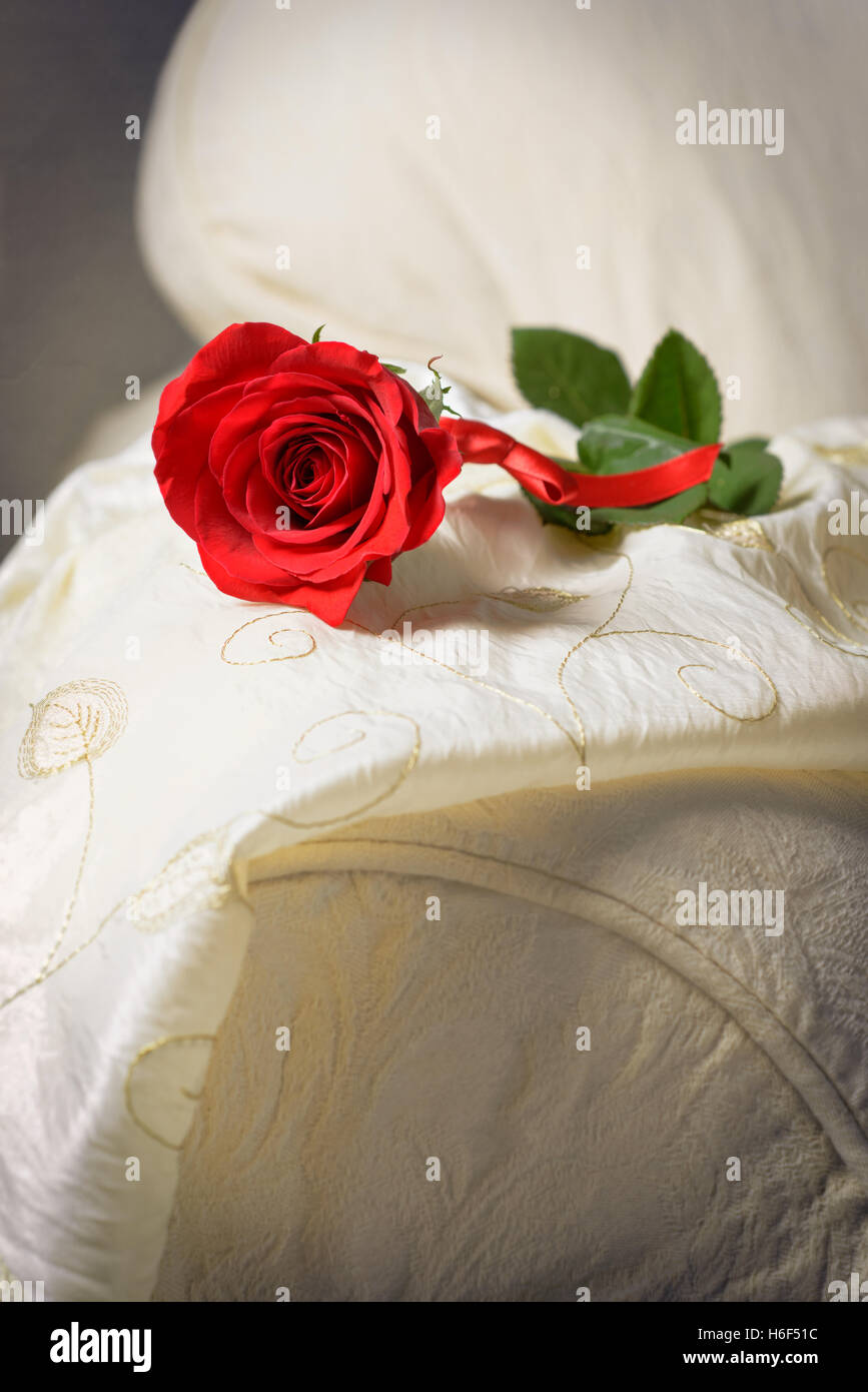 Single red rose stem hi-res stock photography and images - Alamy