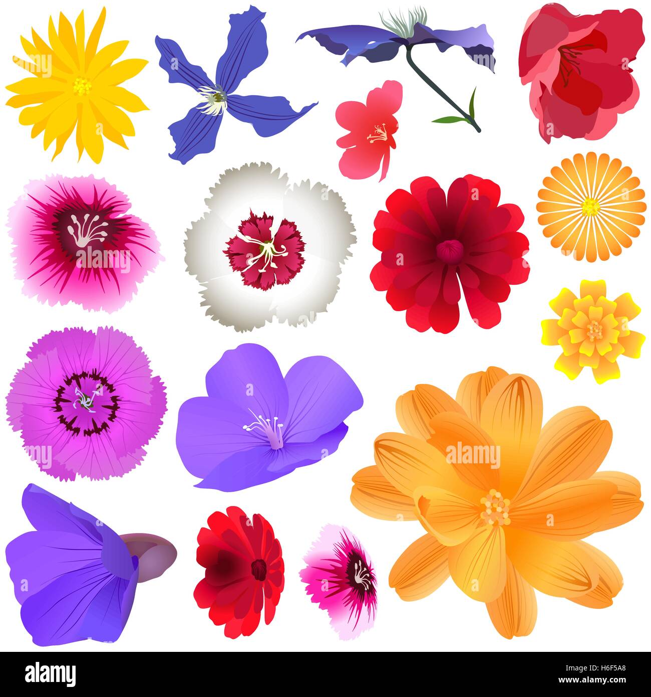 Colorful Garden Flowers Stock Vector Image & Art - Alamy