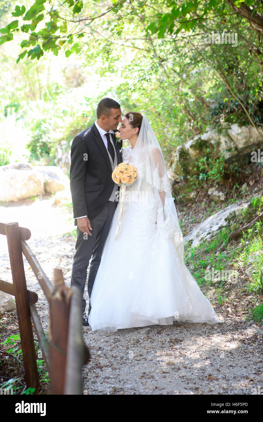 Happy bride and groom on their wedding day fabulous landscape Stock ...