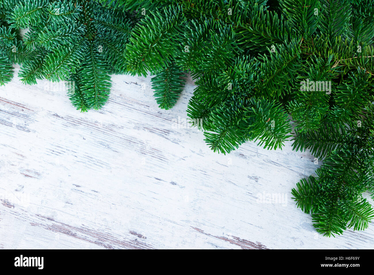 christmas fresh evergreen tree branches Stock Photo - Alamy