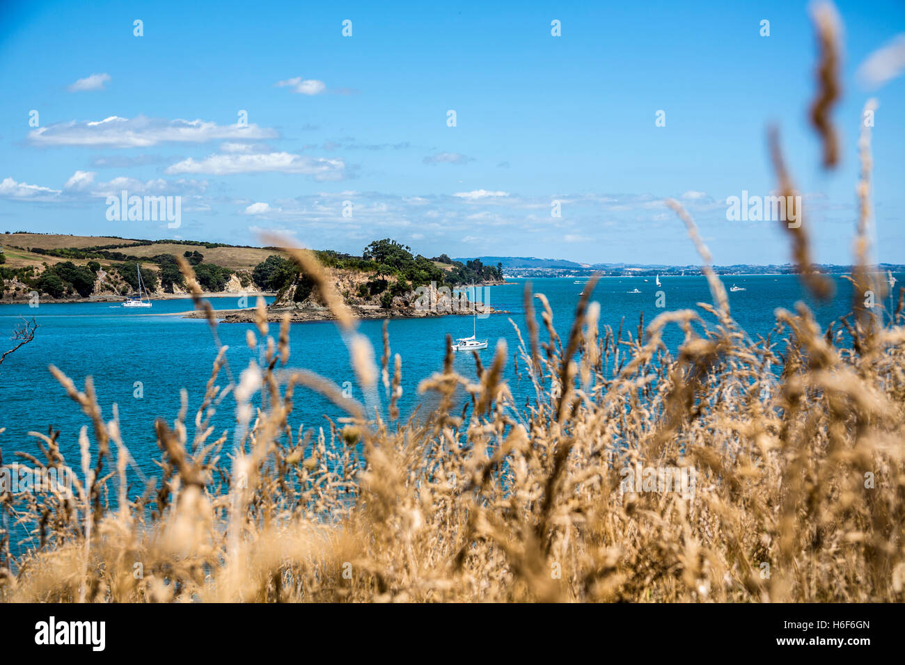 The harbor and surrounding cliffs of Waiheke Island near Auckland, New ...