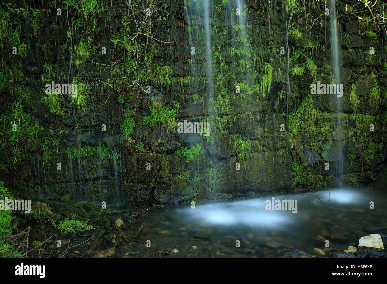 Waterscape, green hi-res stock photography and images - Alamy