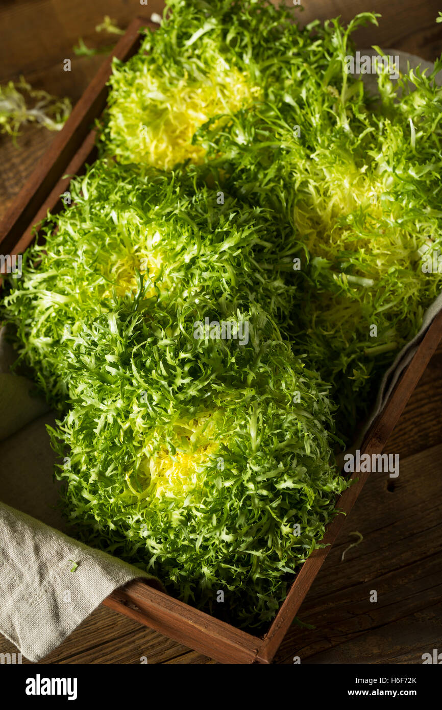 Frisee lettuce hi-res stock photography and images - Alamy