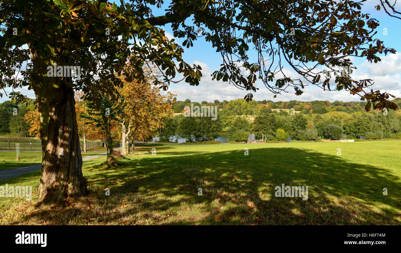 Weald Country Park - Lake Stock Photo - Alamy