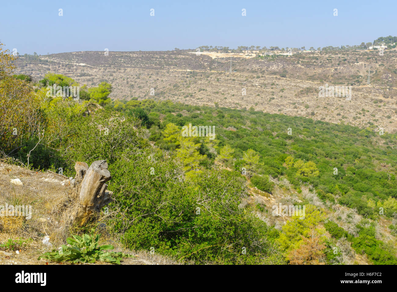 Landscape in the Mount Carmel national park, Northern Israel Stock ...