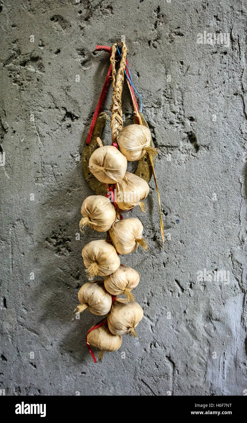 Food chain agriculture hi-res stock photography and images - Alamy