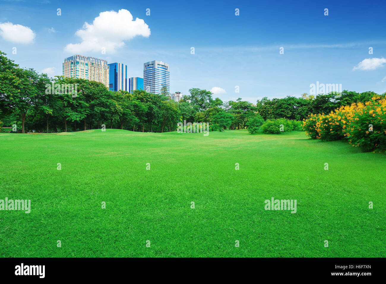 green grass field in big city park Stock Photo - Alamy