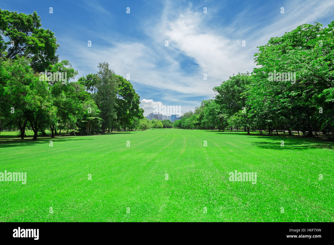 green grass field in big city park Stock Photo - Alamy