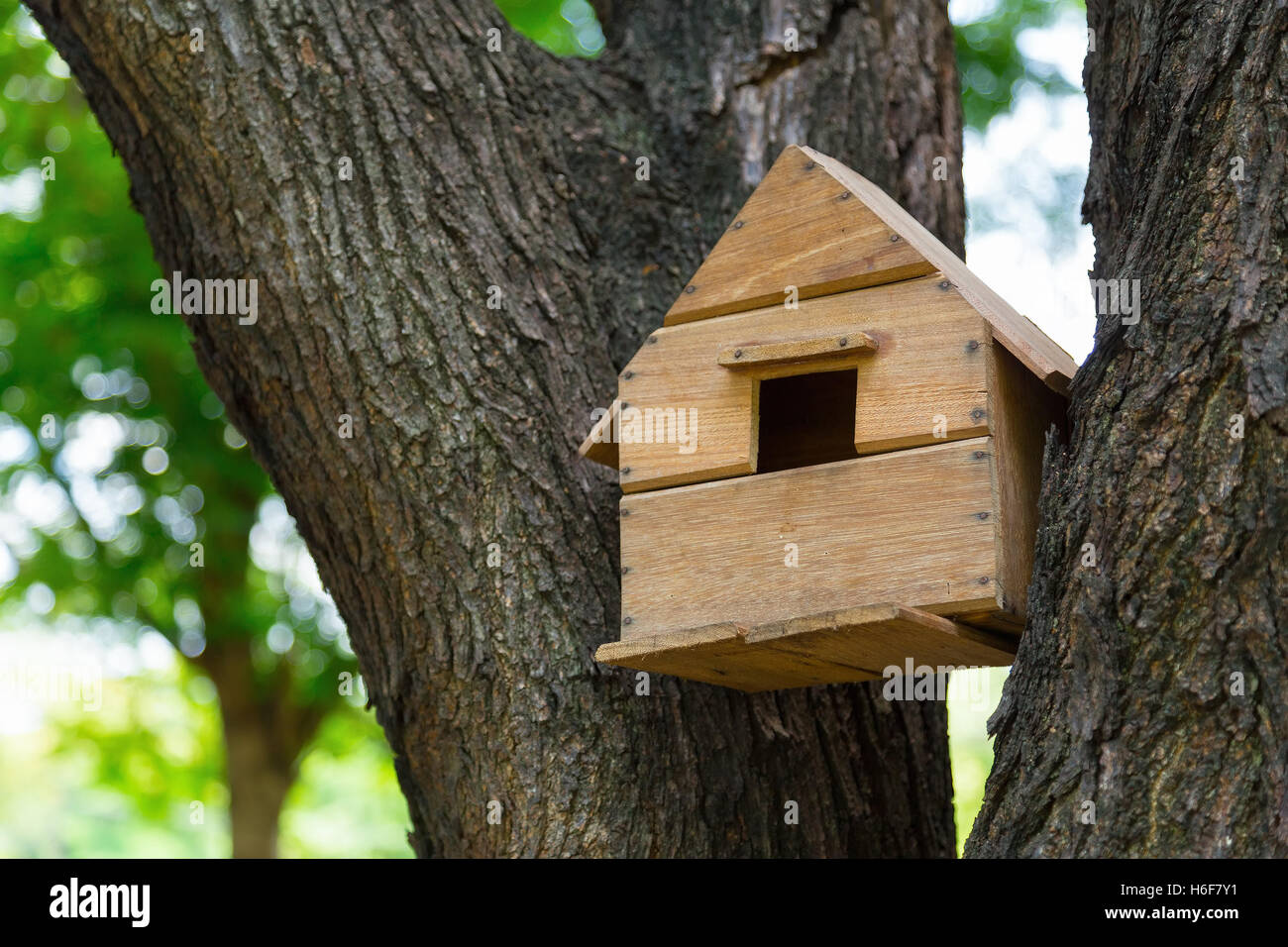 House of the birds in the trees Stock Photo - Alamy
