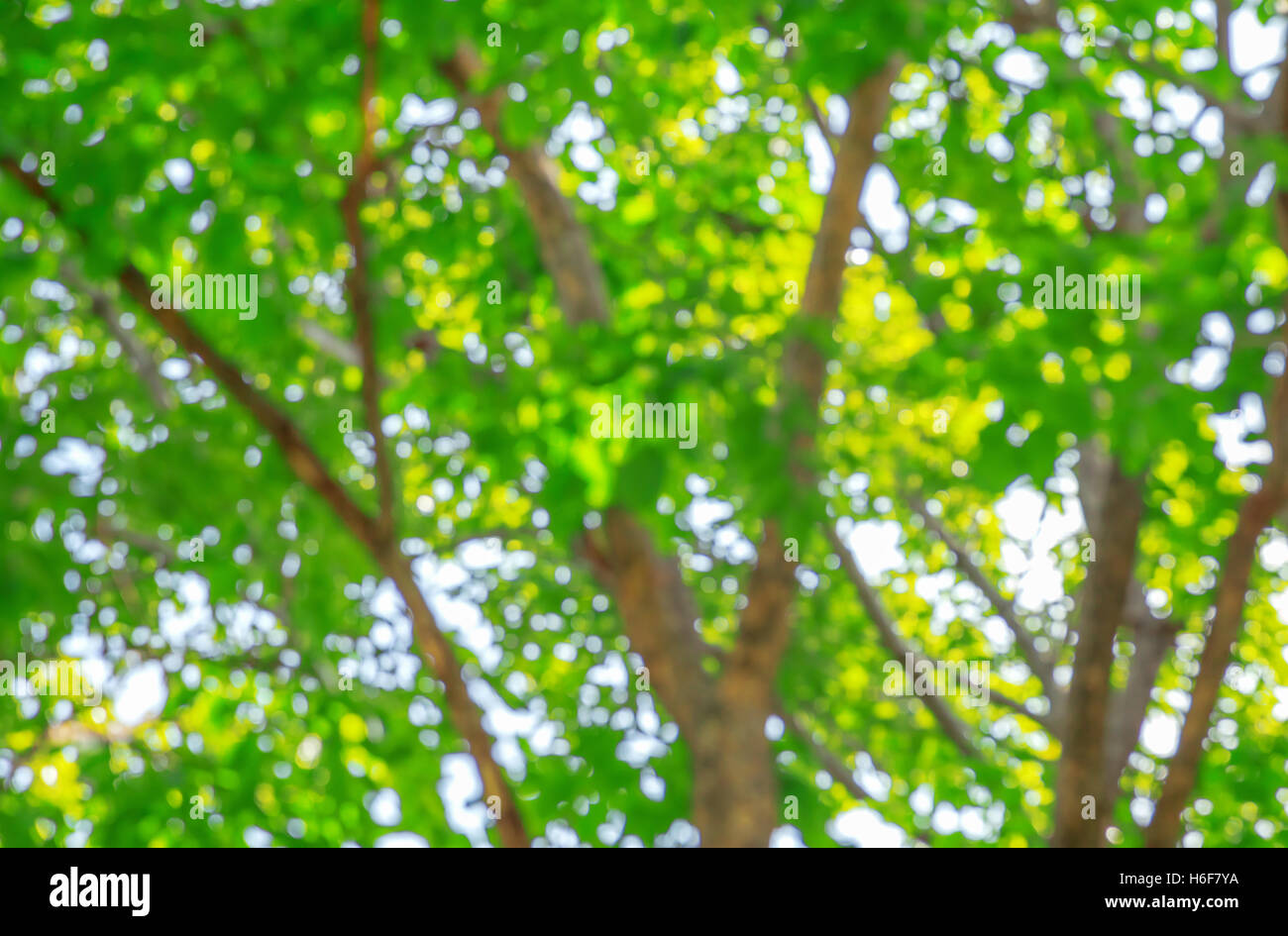 Abstract nature background Stock Photo - Alamy