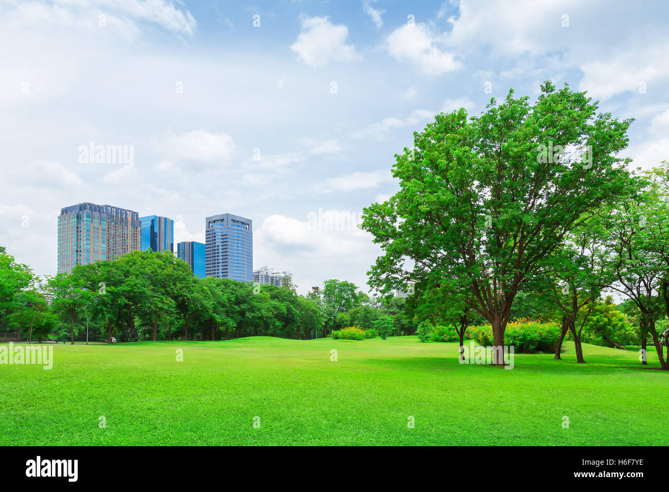 green grass field in big city park Stock Photo - Alamy