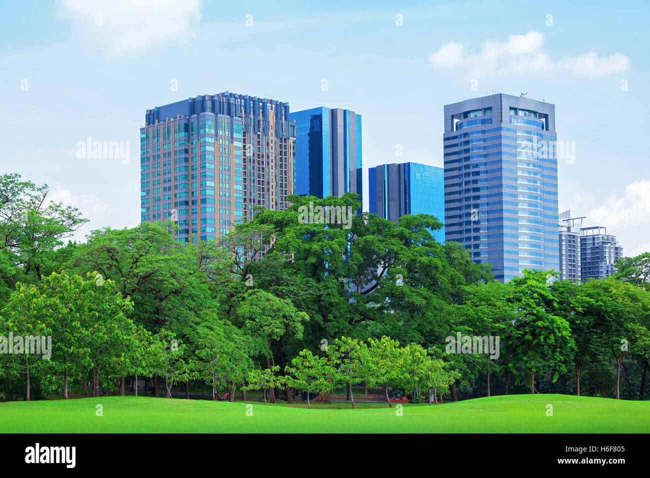 Office green grass lawn hi-res stock photography and images - Alamy