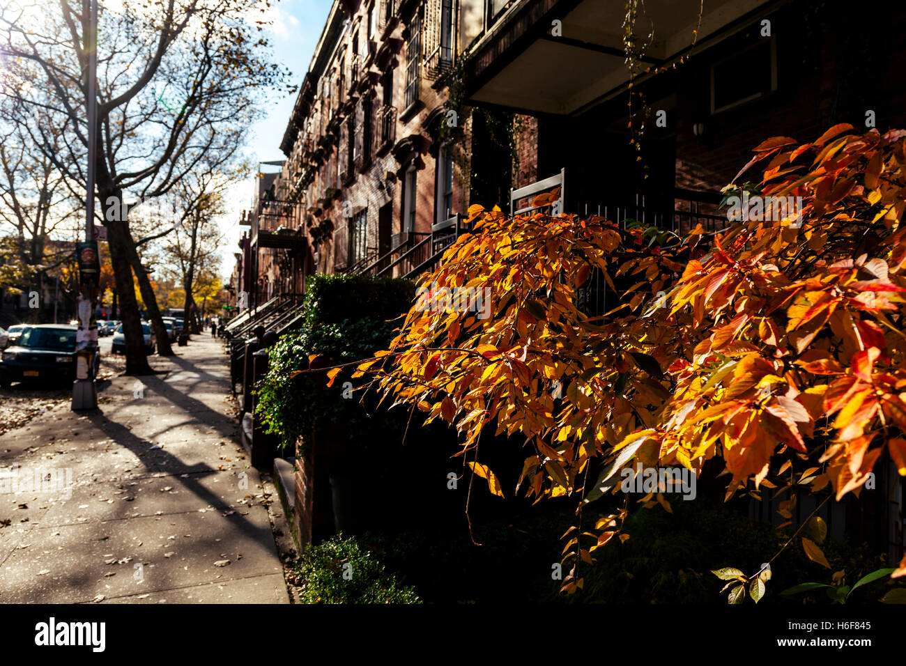 A pavement in Brooklyn, New-York on an autumn day Stock Photo - Alamy