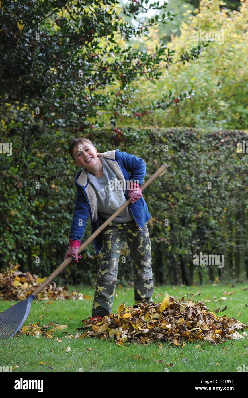 Grandfather and grandson clearing leaves in the garden in North ...